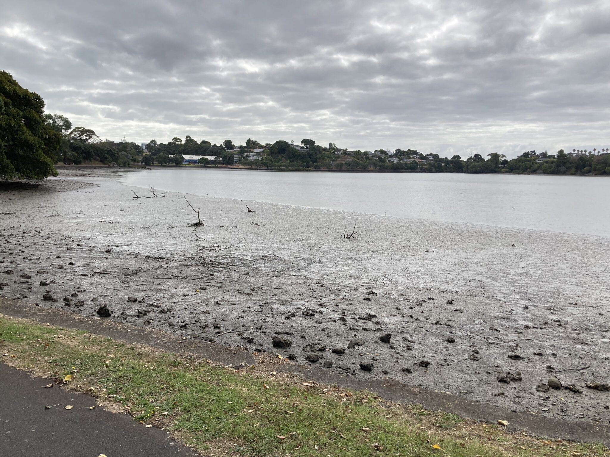#11. Te Kopua Kai a Hiku (Panmure Basin) – KiwiUnschool