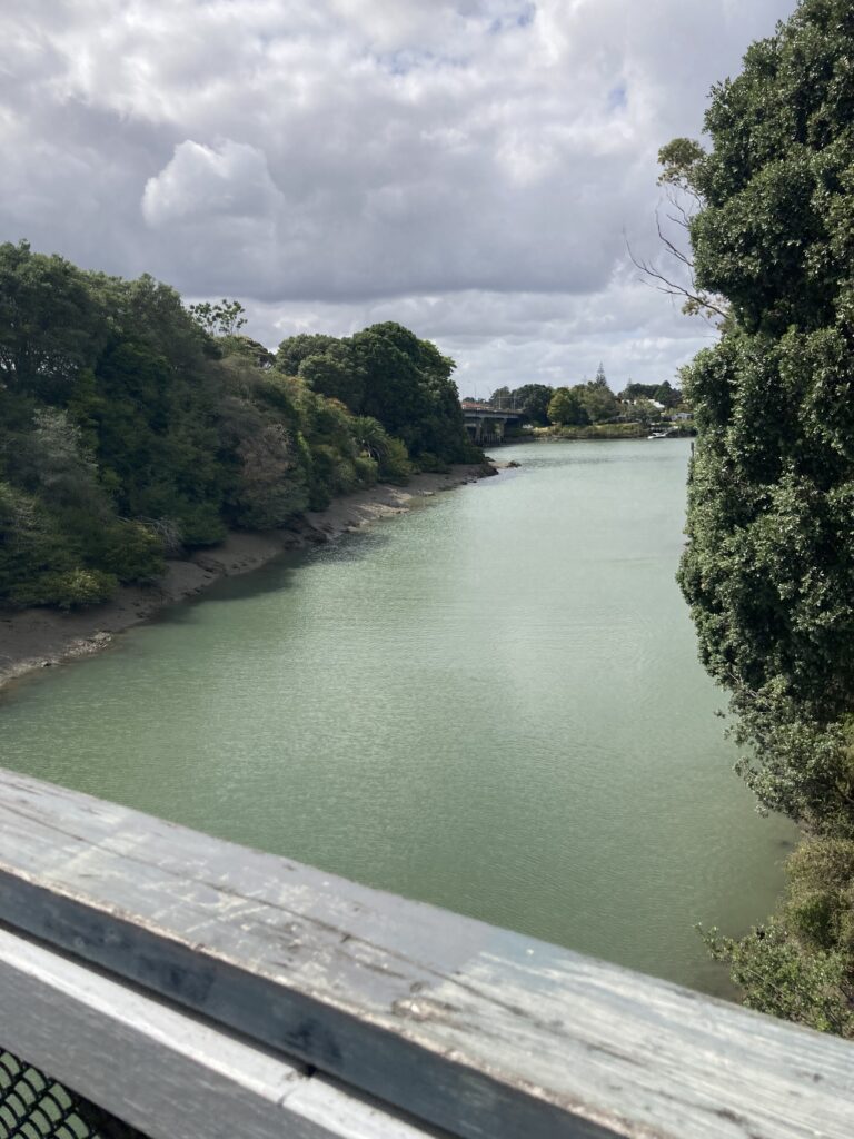 #11. Te Kopua Kai a Hiku (Panmure Basin) – KiwiUnschool