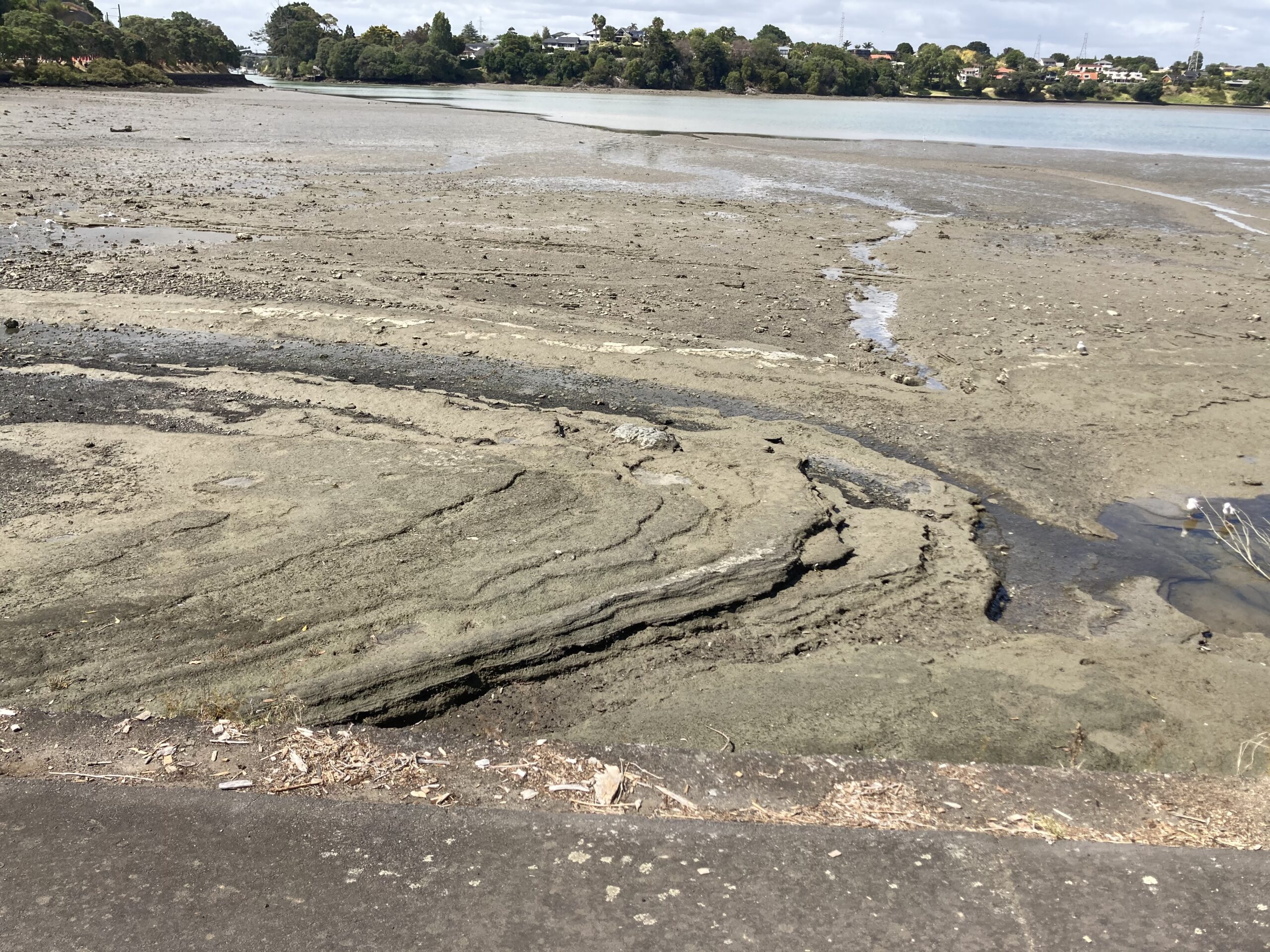 #11. Te Kopua Kai a Hiku (Panmure Basin) – KiwiUnschool